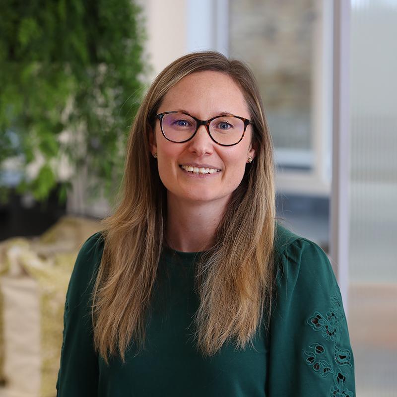 The role of visual openness in determining Green Belt openness | Turley